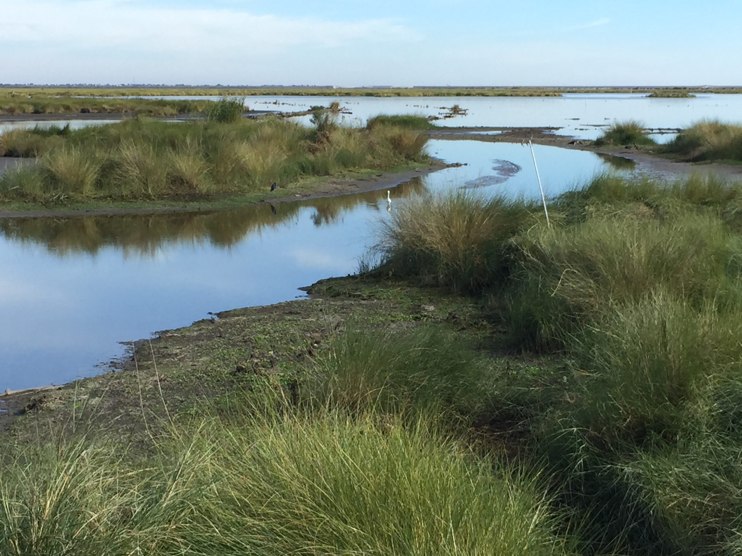 Fire Tower Road/ LA 445: Corridor Study (State Project No. H015968; RPC ...